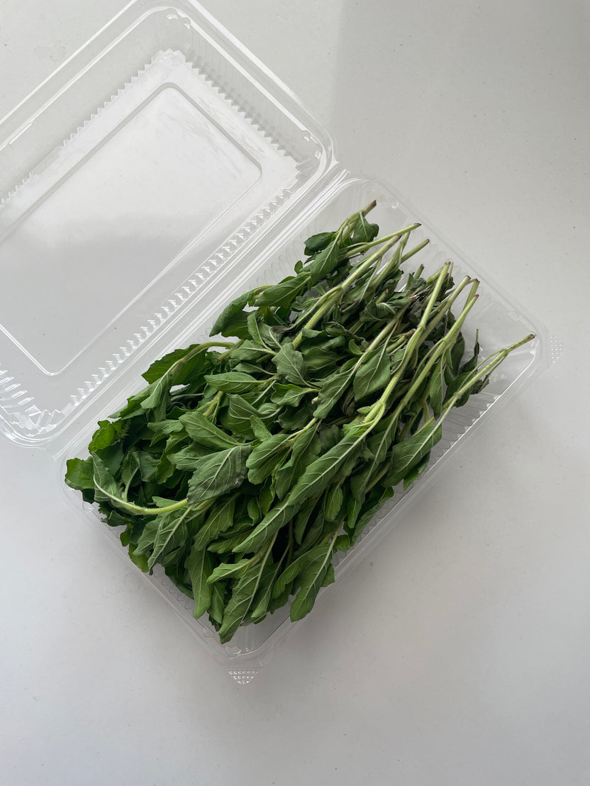 Fresh Holy Basil Leaves – Fresherb Pampanga